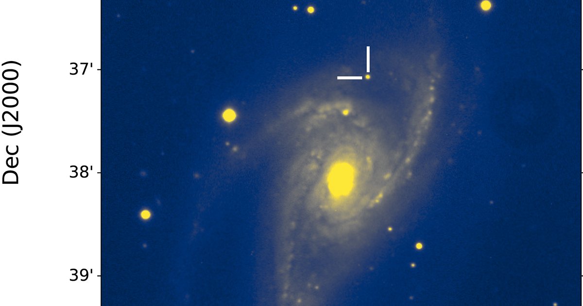 IIA in News - SN 2018is: a low-luminosity type IIP supernova with ...